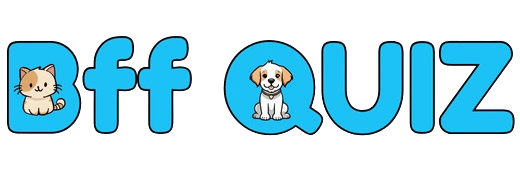 Friendship Quiz 2026 – Who Knows You Best? - BFF Quzzies